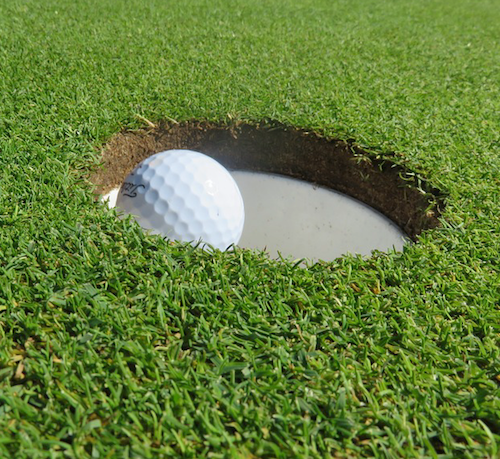 Golf Course Fertilizer - Dr. JimZ