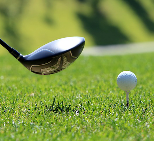 Golf Course Fertilizer - Dr. JimZ