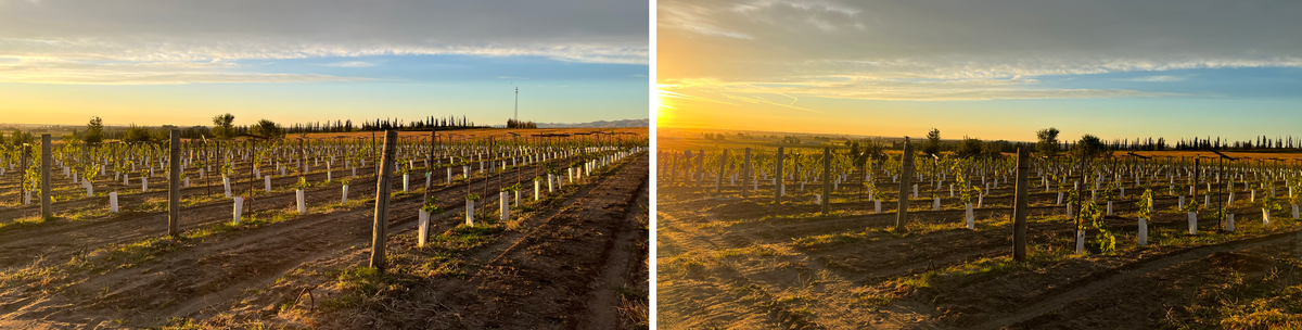 Liquid Fertilizers for Pastures & Grass | Dr JimZ - Dr. JimZ