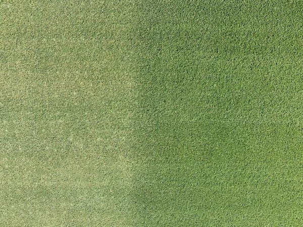 Golf Course Fertilizer - Premium Greens Nutrient Program - Dr. JimZ