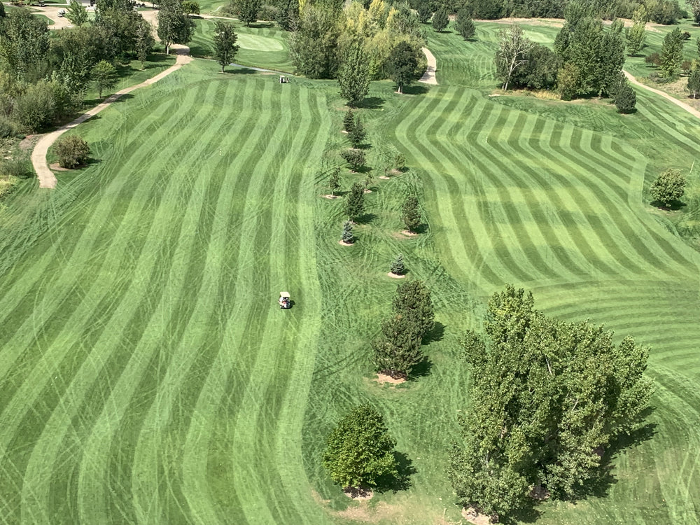 Golf Course Fertilizer - Premium Greens Nutrient Program - Dr. JimZ